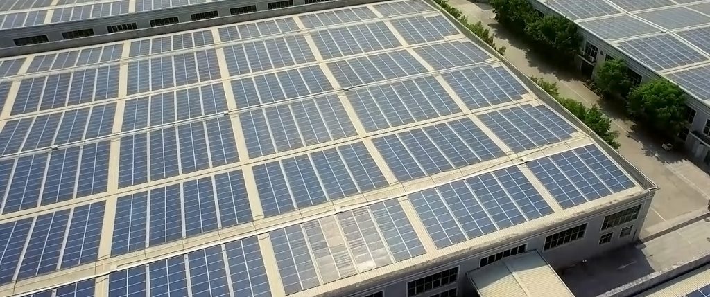 About Man Wah - Man Wah